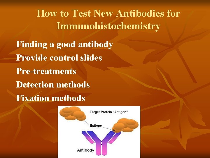 How to Test New Antibodies for Immunohistochemistry Finding