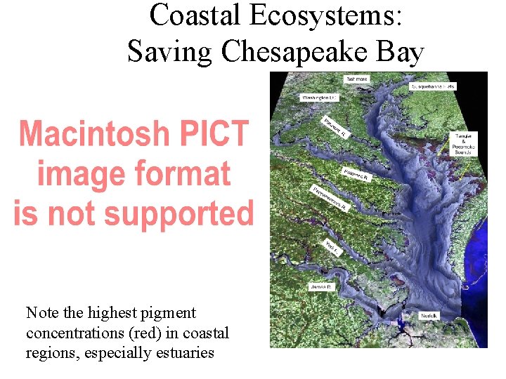 Coastal Ecosystems Saving Chesapeake Bay Note the highest