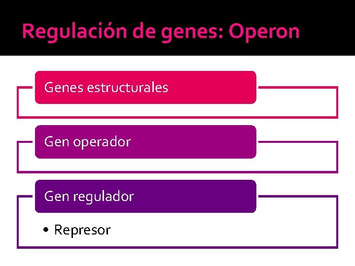 Dra Mary Dominguez Genes estructura y funcin Informacin