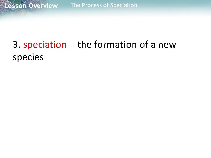 Lesson Overview 17 3 The Process of Speciation