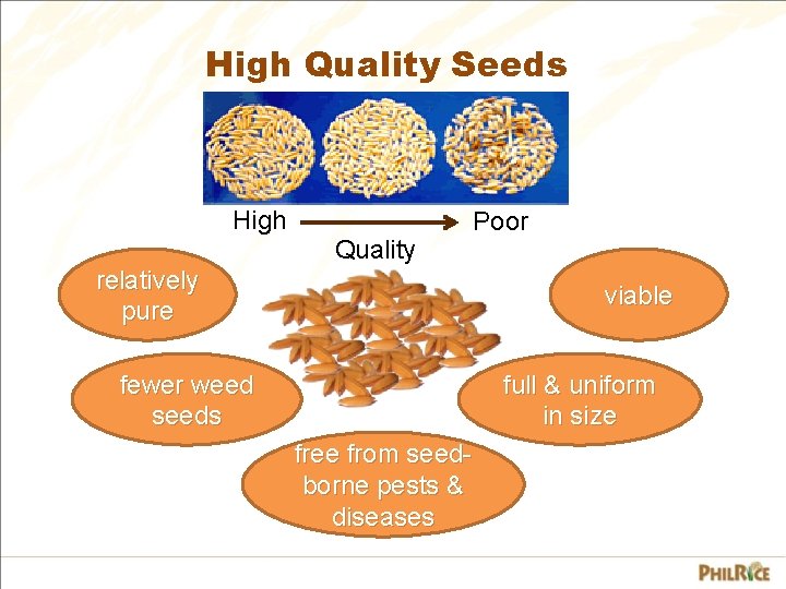 Seed Variety Selection Key Check 1 Used high