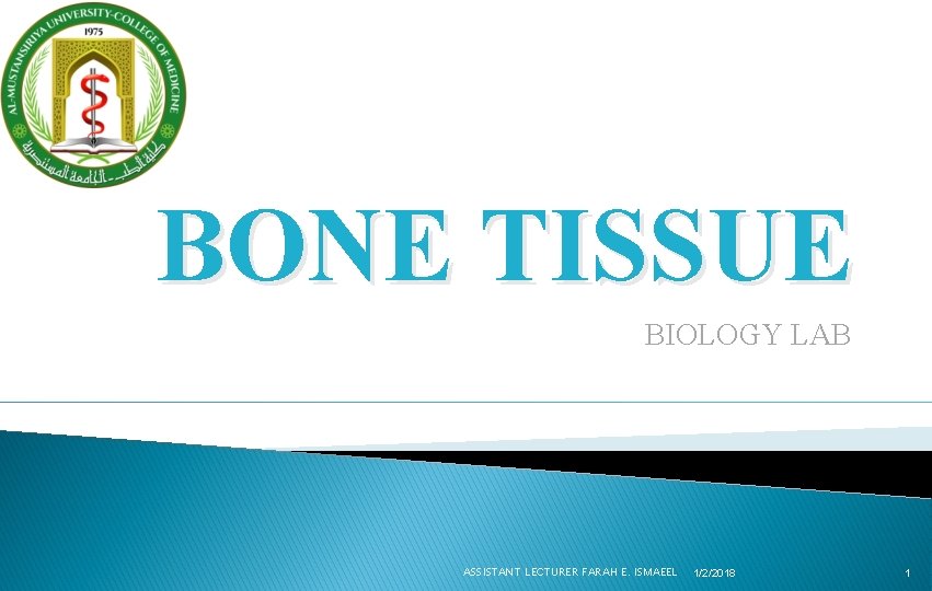 BONE TISSUE BIOLOGY LAB ASSISTANT LECTURER FARAH E