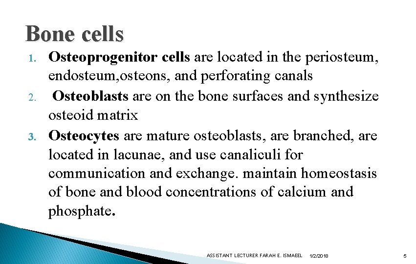 BONE TISSUE BIOLOGY LAB ASSISTANT LECTURER FARAH E