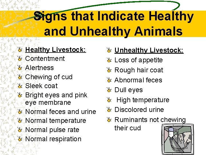 ANIMAL HEALTH Agri Science 2 Performance Indicators After