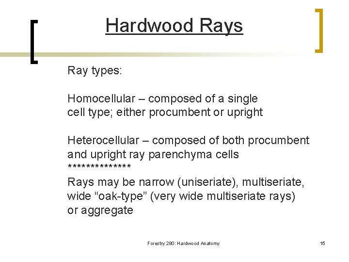 Hardwood Anatomical Structure Longitudinal Cells Ray Tissue Distinction