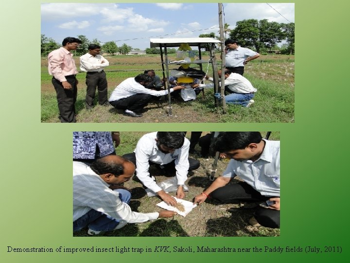 LIGHT TRAP SAFER TO BENEFICIAL INSECTS The patent