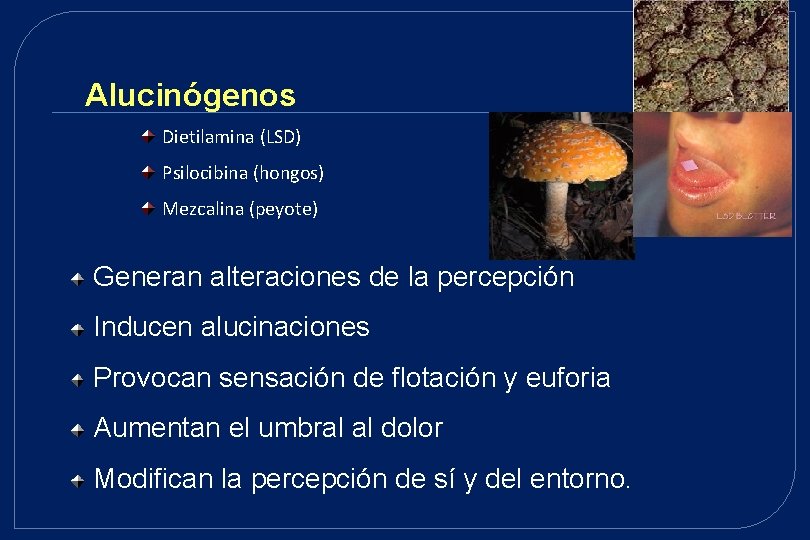 Mdulo 1 El uso de sustancias psicoactivas en
