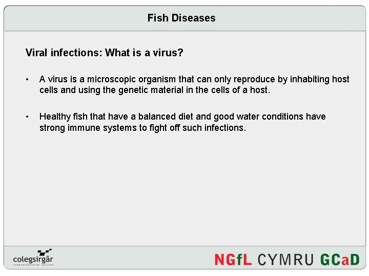 FISH DISEASES Presentation on FISH DISEASES Introduction How