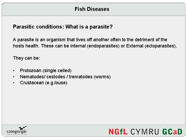 FISH DISEASES Presentation on FISH DISEASES Introduction How