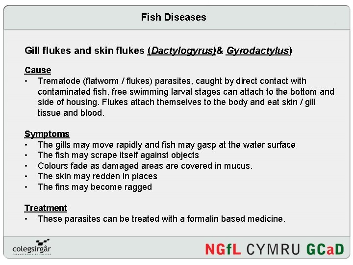 FISH DISEASES Presentation on FISH DISEASES Introduction How
