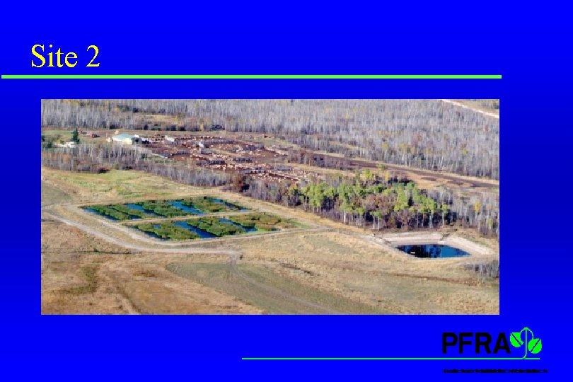 Constructed Wetlands for Feedlot Runoff Treatment MSAA Workshop