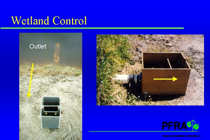 Constructed Wetlands for Feedlot Runoff Treatment MSAA Workshop