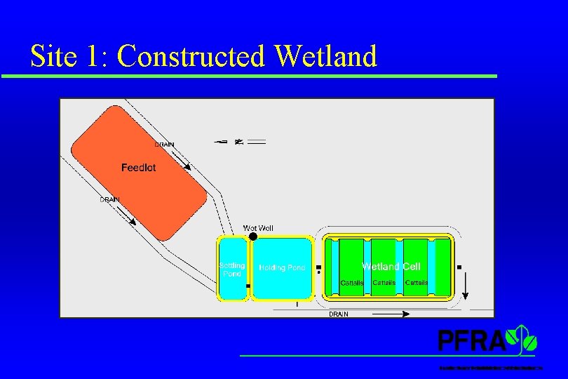 Constructed Wetlands for Feedlot Runoff Treatment MSAA Workshop