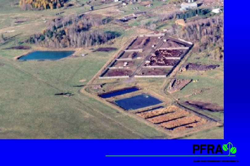 Constructed Wetlands for Feedlot Runoff Treatment MSAA Workshop