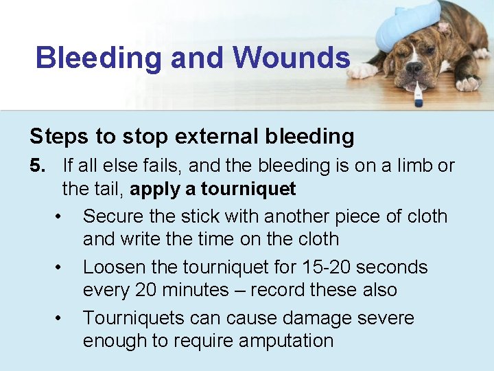 Emergency Animal Care Wendy Blount DVM Video Why