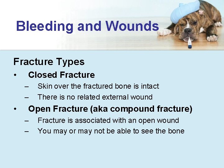 Emergency Animal Care Wendy Blount DVM Video Why