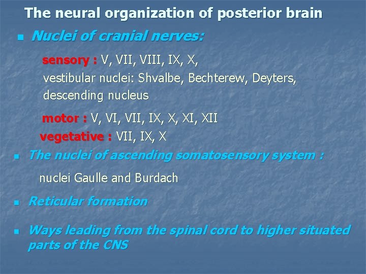 The neural organization of posterior brain n Nuclei