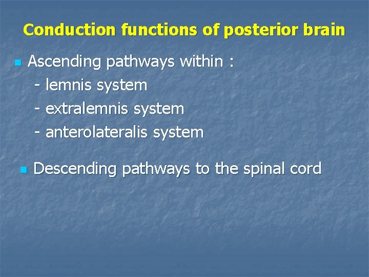 The neural organization of posterior brain n Nuclei