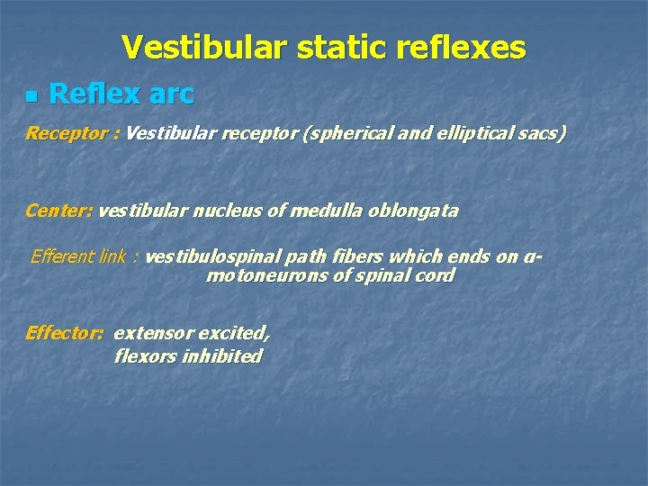The neural organization of posterior brain n Nuclei