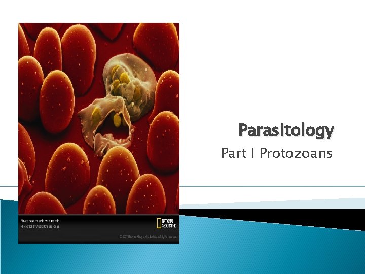 Parasitology Part I Protozoans Parisitology Parasitism Two organisms