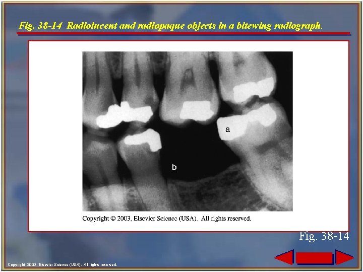 Chapter 38 Radiation Health Safety Copyright 2003 Elsevier