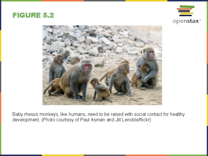 INTRODUCTION TO SOCIOLOGY 2 E Chapter 5 SOCIALIZATION