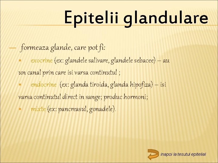 TESUTURILE ANIMALE Clasificare Tesut epitelial Tesut conjunctiv Tesut