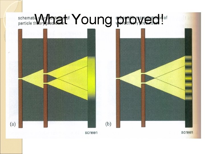 Diffraction You will be able to Describe qualitatively