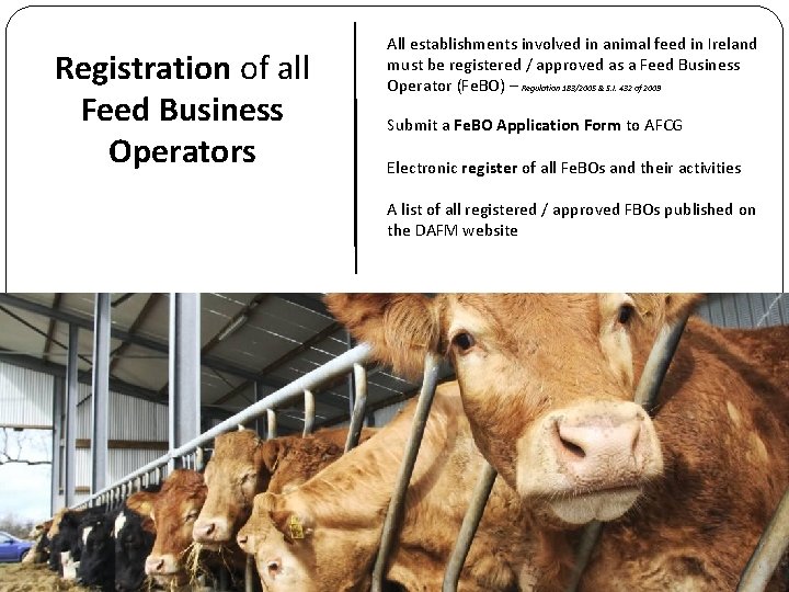 Official Controls on Animal Feed Dr Barry OReilly