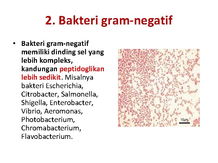 MATERI KULIAH MIKROBIOLOGI KLASIFIKASI BAKTERI STRUTUR BAKTERI METABOLISME