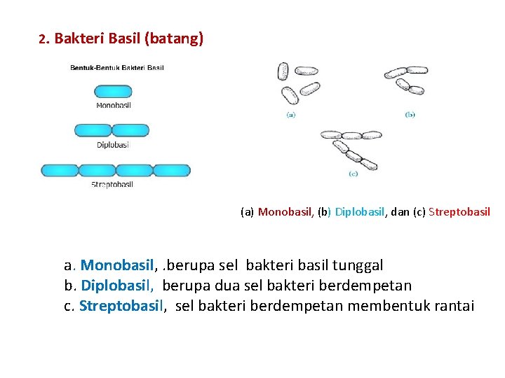 MATERI KULIAH MIKROBIOLOGI KLASIFIKASI BAKTERI STRUTUR BAKTERI METABOLISME