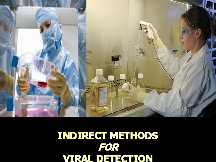 Viral Detection Methodologies Group8 Introduction To Laboratory Medicine