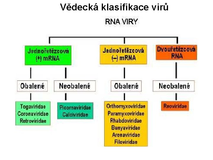 Viry Zklady biologie 2013 Charakteristika Definice submikroskopick infekn