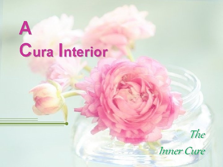 A Cura Interior The Inner Cure O desejo