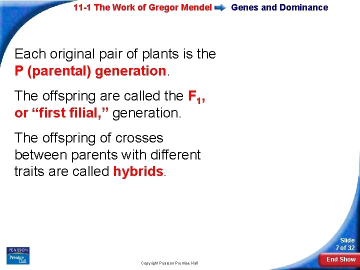 11 1 The Work of Gregor Mendel Slide