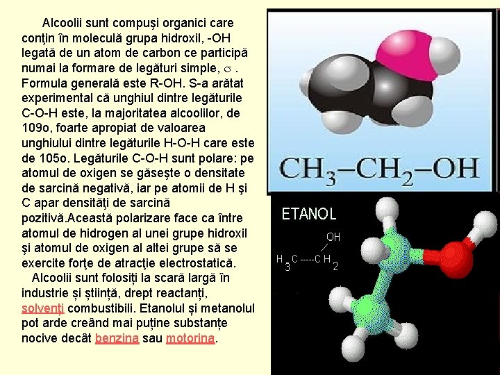 Autori Iosub Loredana Ciobanu Maria Coordonator tiinific Prof