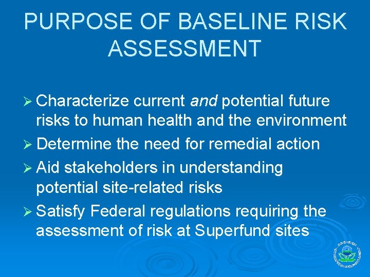 BASELINE RISK ASSESSMENT OVERVIEW Dawn A Ioven Senior