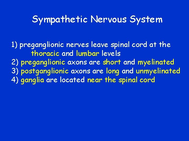 Learning Objectives Describe the anatomical differences between the