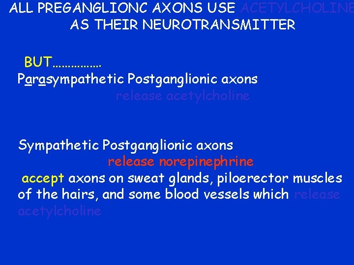 Learning Objectives Describe the anatomical differences between the