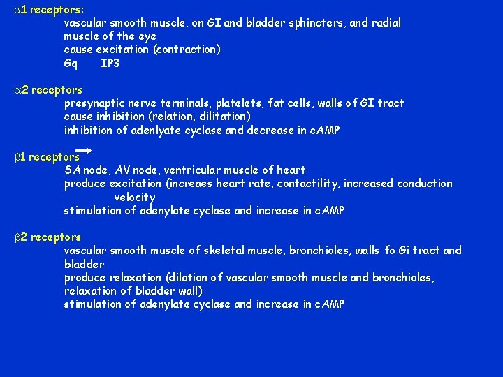 Learning Objectives Describe the anatomical differences between the