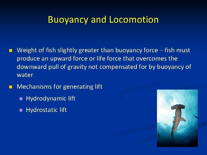 Anatomy Physiology and Ecology of Fishes I Biology