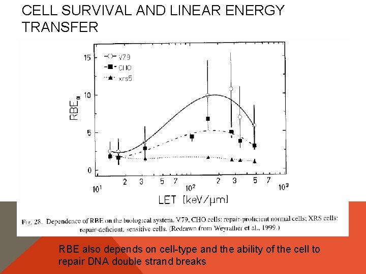 TRAINING COURSE ON RADIATION DOSIMETRY Radiobiology Basics RBE
