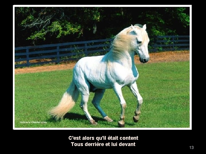 1 Le petit cheval dans le mauvais temps