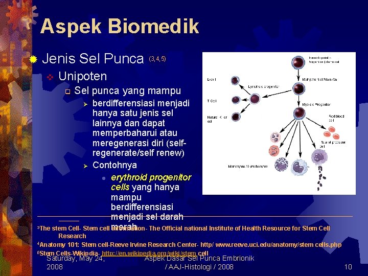 ASPEK DASAR SEL PUNCA EMBRIONIK EMBRYONIC STEM CELL