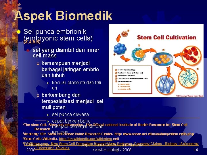 ASPEK DASAR SEL PUNCA EMBRIONIK EMBRYONIC STEM CELL