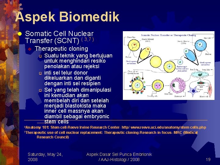 ASPEK DASAR SEL PUNCA EMBRIONIK EMBRYONIC STEM CELL
