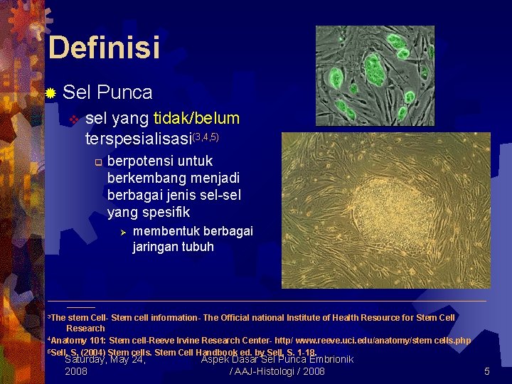 ASPEK DASAR SEL PUNCA EMBRIONIK EMBRYONIC STEM CELL