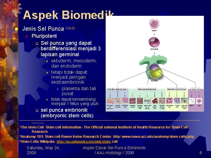 ASPEK DASAR SEL PUNCA EMBRIONIK EMBRYONIC STEM CELL