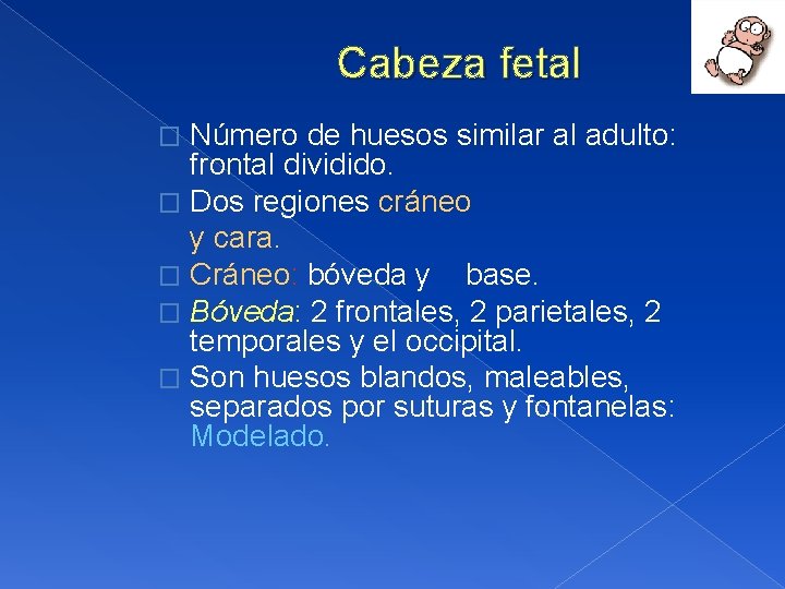 Mvil Fetal Cabeza Suturas Fontanelas Antropometra fetal Colocacin