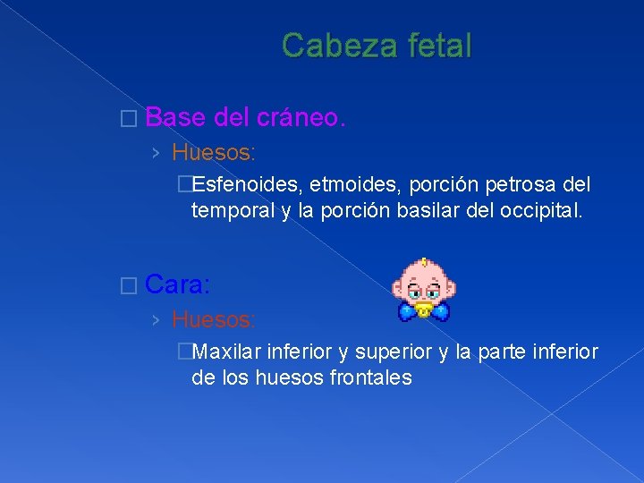Mvil Fetal Cabeza Suturas Fontanelas Antropometra fetal Colocacin
